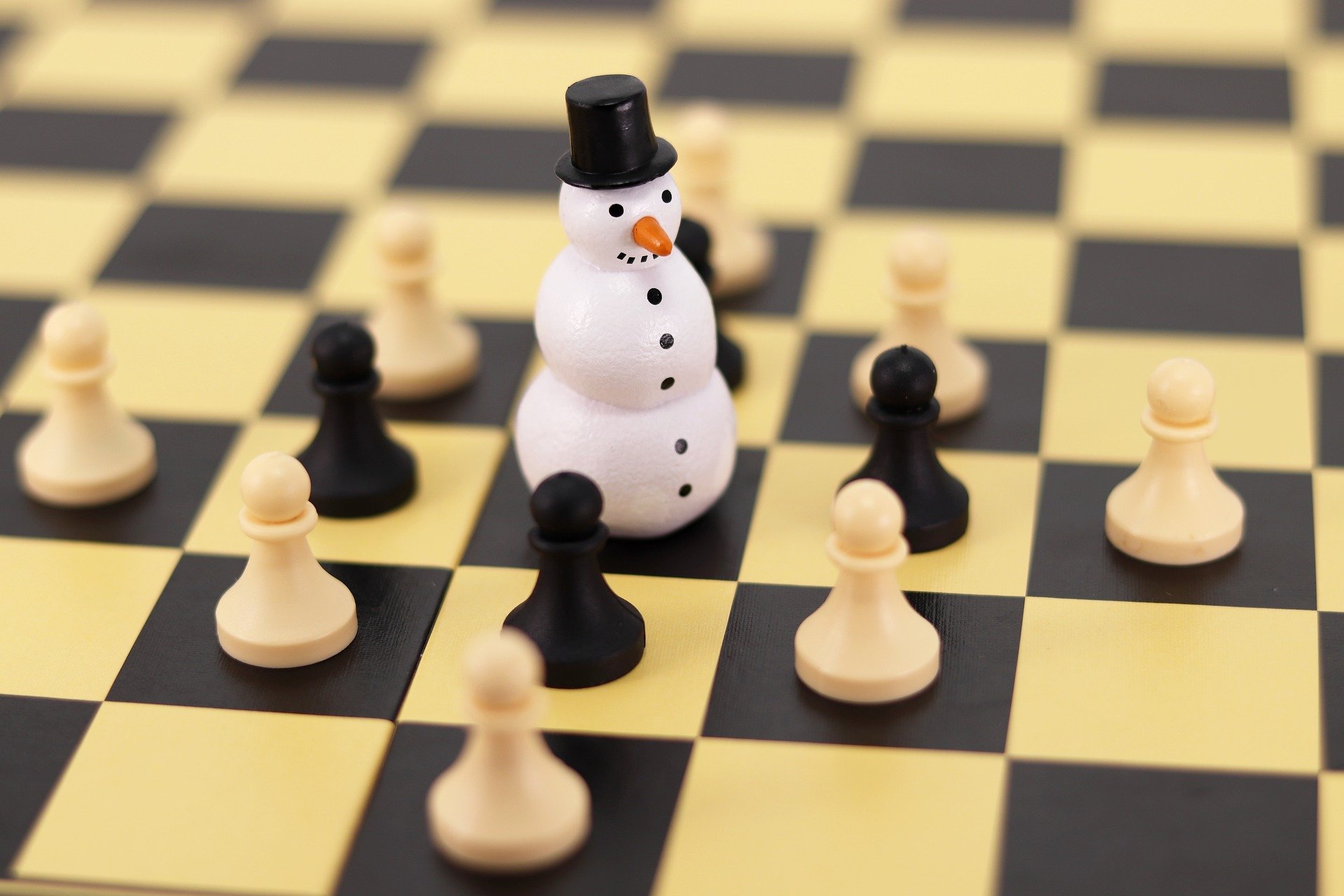 2025 Mid-Winter Chess Tournament - North Carolinians for Home Education